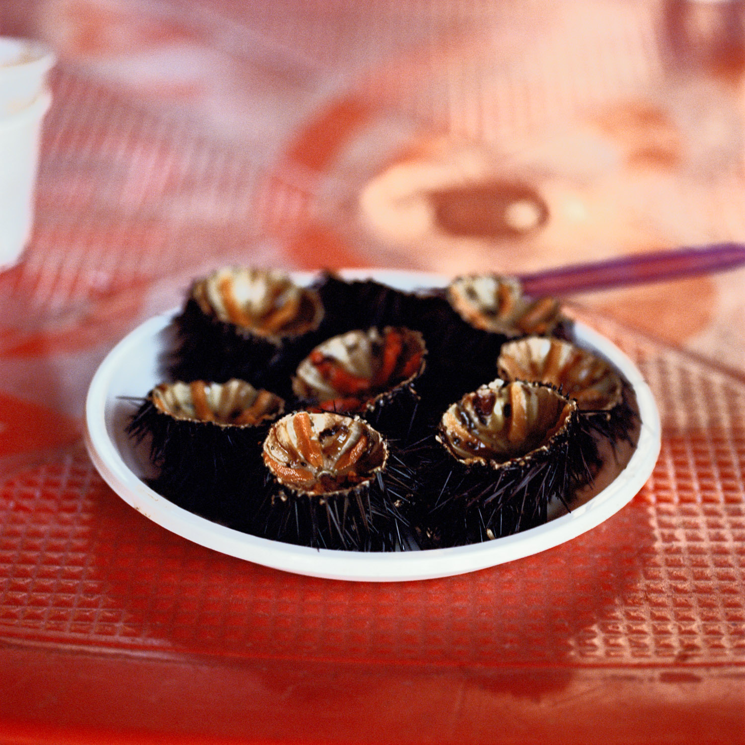 Jason Lowe — Sicily